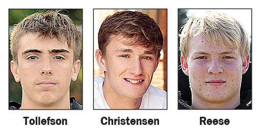 Tollefson tops honors for Trojan boys hoops | News, Sports, Jobs ...
